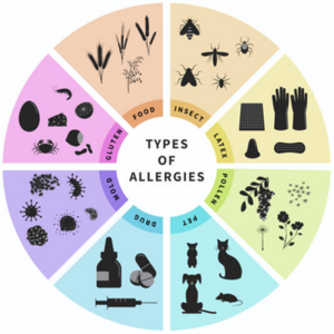 Allergy and Immunology Consultants in Sydney | Hills Allergy and ...